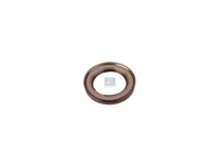 Oil seal DT Spare Parts 1524838 | BAS Parts & Tyres