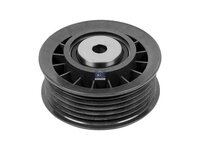 Tensioner 6012001070 | BAS Parts & Tyres