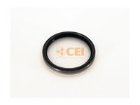 Oil seal CEI 22984395 | BAS Parts & Tyres