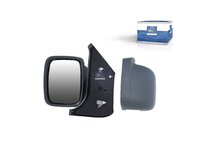 Main mirror 963024456R | BAS Parts & Tyres