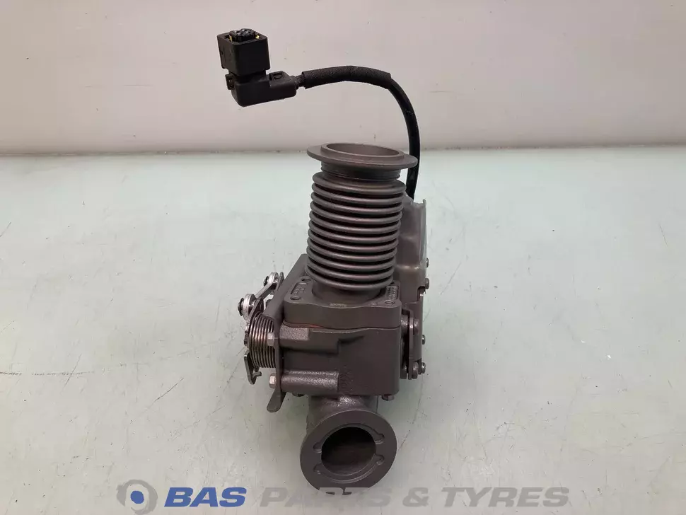 Válvula EGR DAF 1921876 | BAS Parts & Tyres