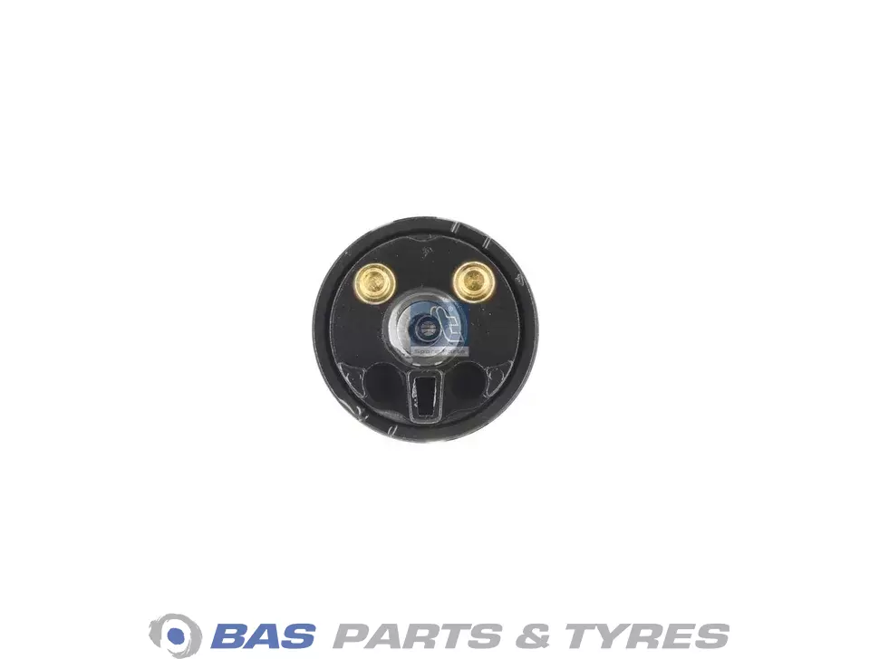 Injectie-Unit DT Spare Parts 2488244 | BAS Parts & Tyres